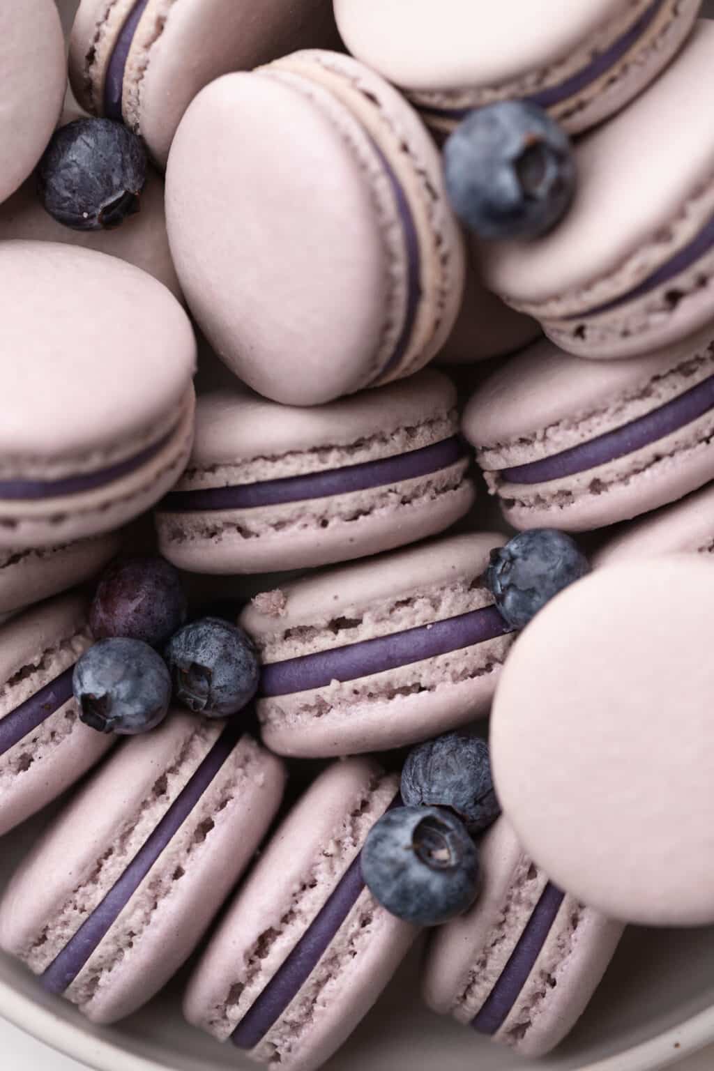 Blueberry Macarons - Cambrea Bakes
