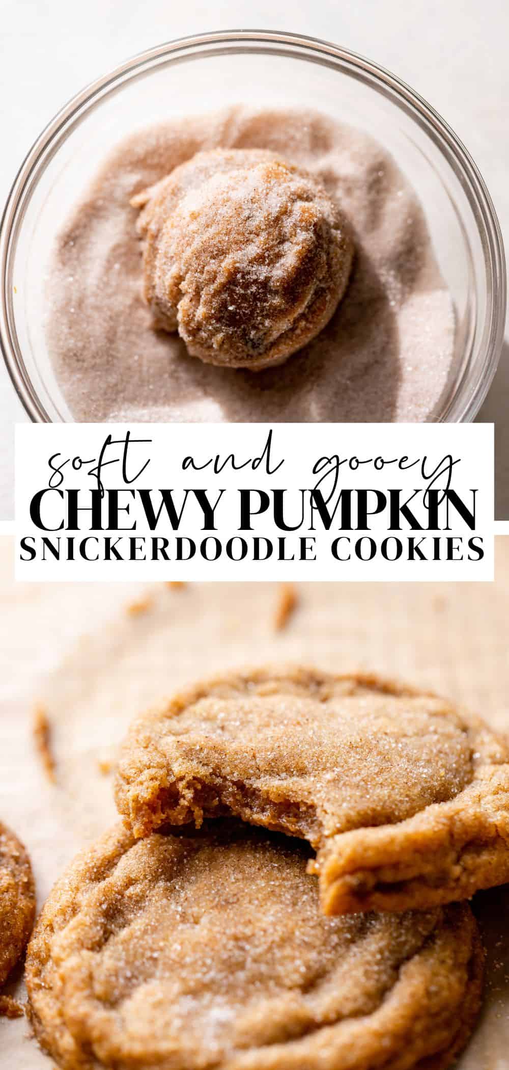 Chewy Pumpkin Snickerdoodle Cookies - Cambrea Bakes