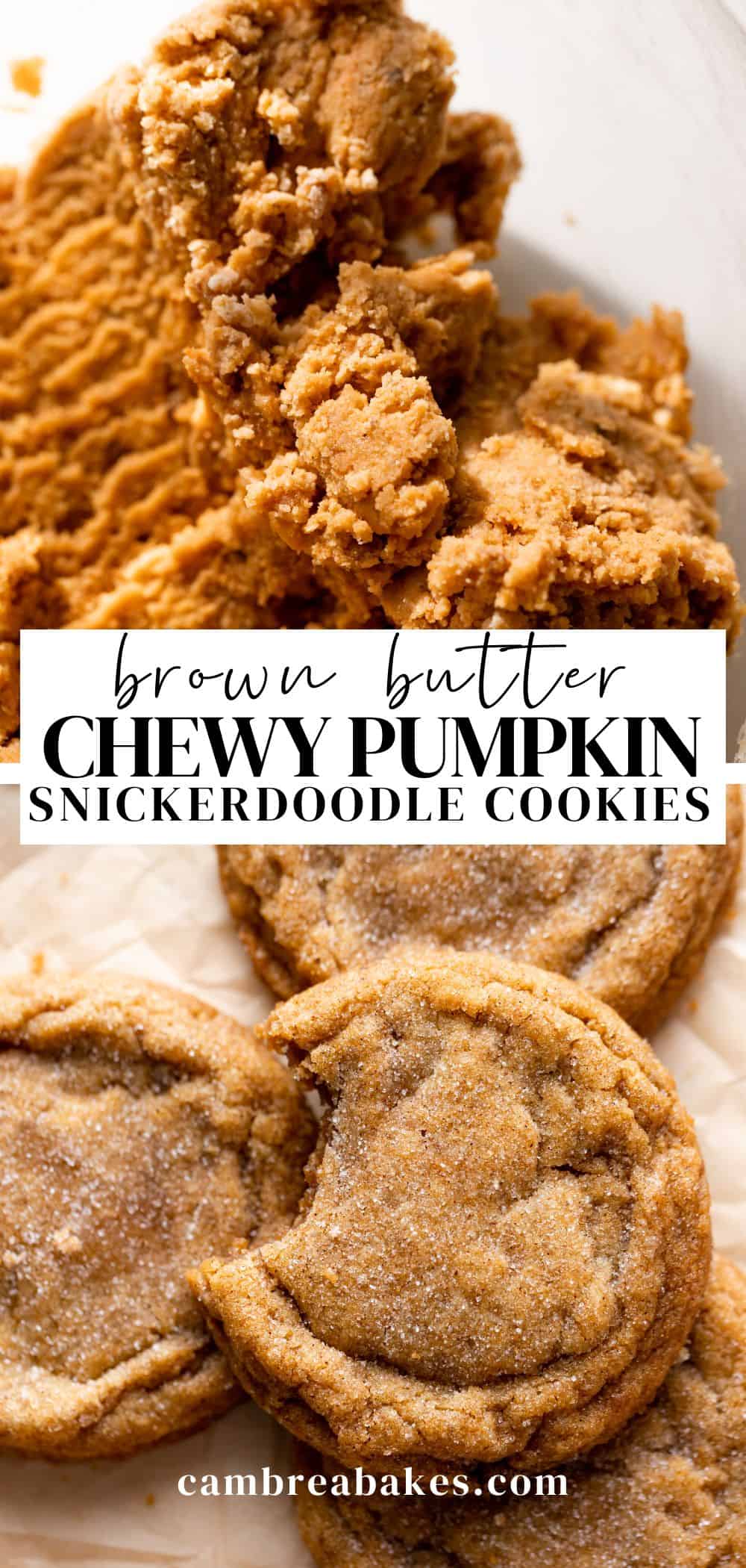 Chewy Pumpkin Snickerdoodle Cookies - Cambrea Bakes