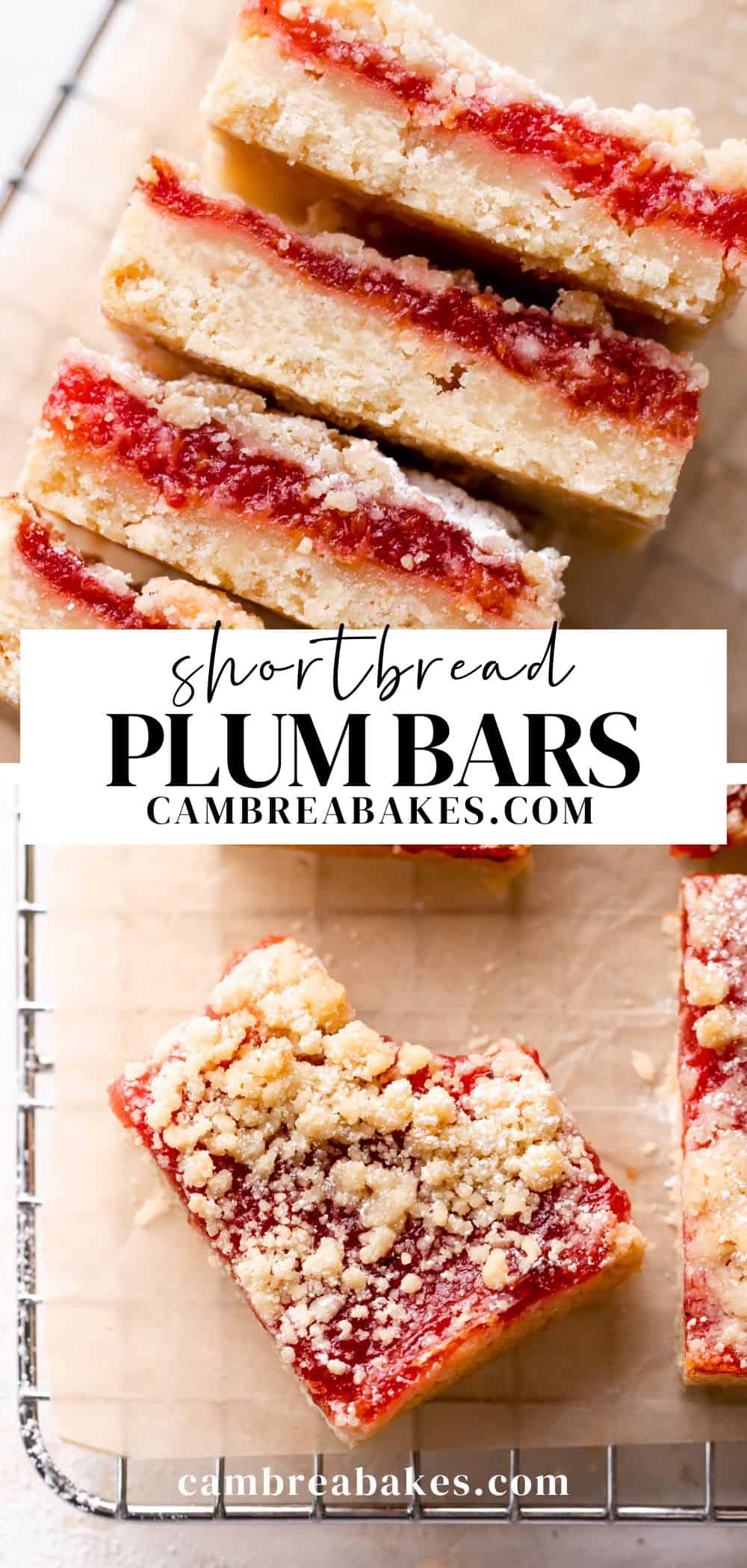 Plum Bars with Crumble Topping - Cambrea Bakes