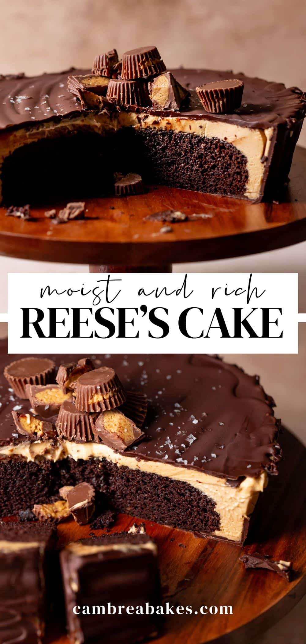 Reese's Cake - Cambrea Bakes
