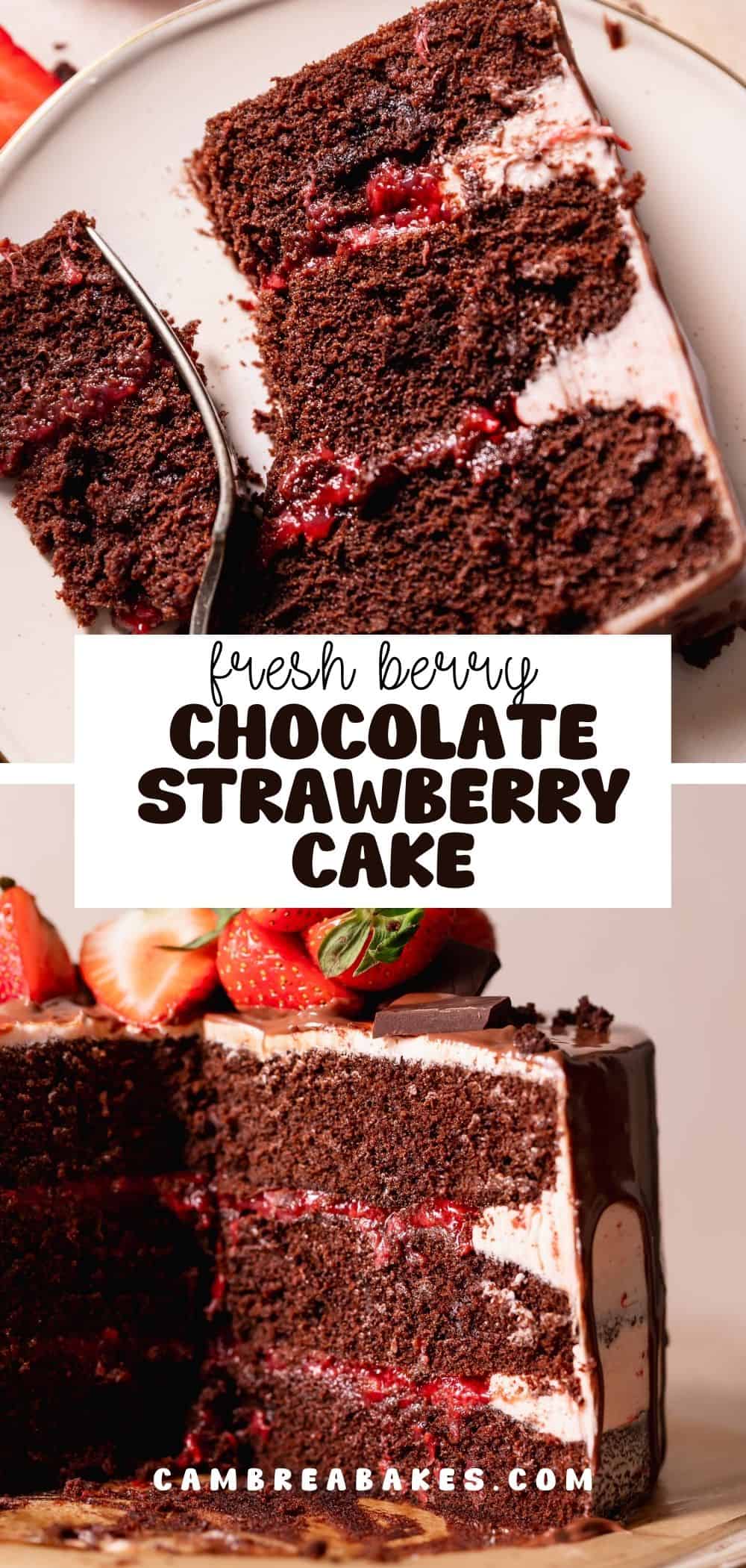 Chocolate Strawberry Cake - Cambrea Bakes
