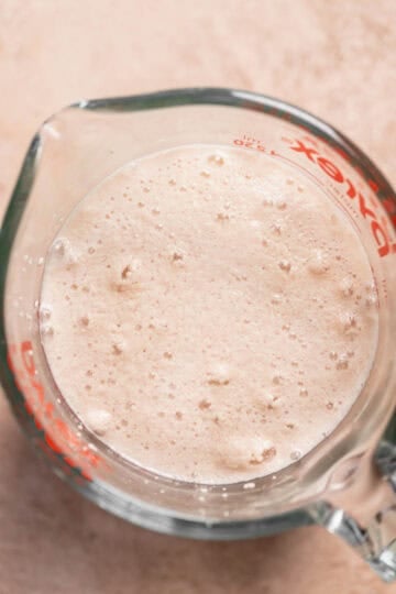 Baking with Yeast (A Complete Guide) - Cambrea Bakes