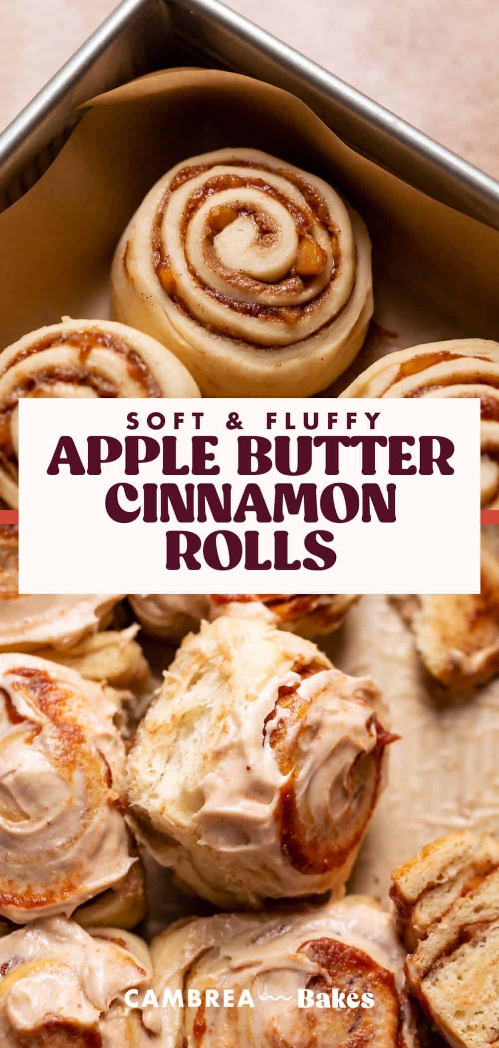 Apple Cinnamon Rolls - Cambrea Bakes