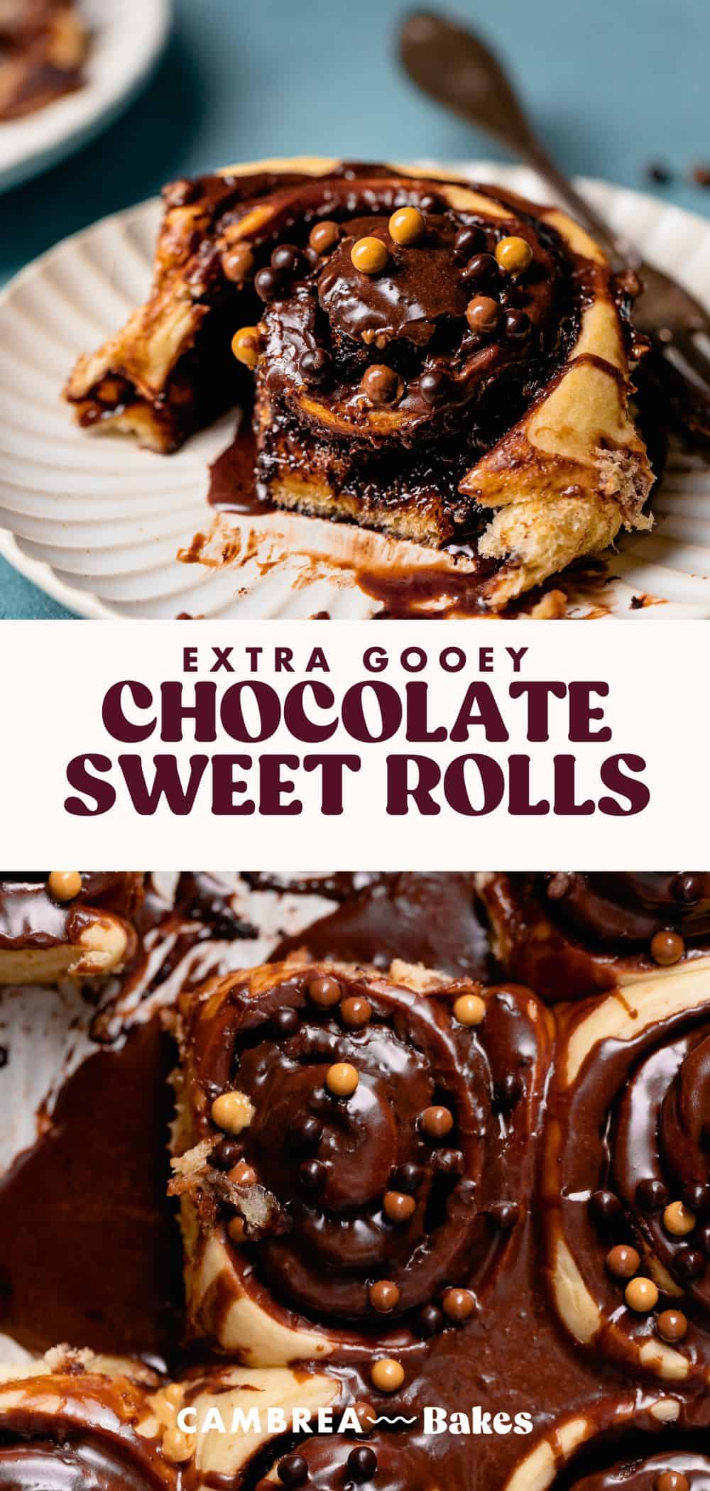 Ultra-Rich Chocolate Cinnamon Rolls - Cambrea Bakes
