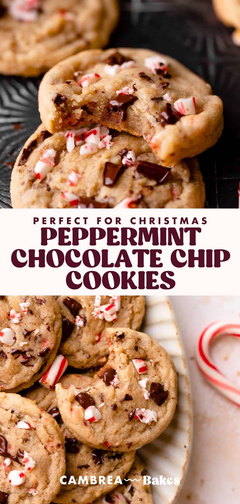 Peppermint Chocolate Chip Cookies - Cambrea Bakes
