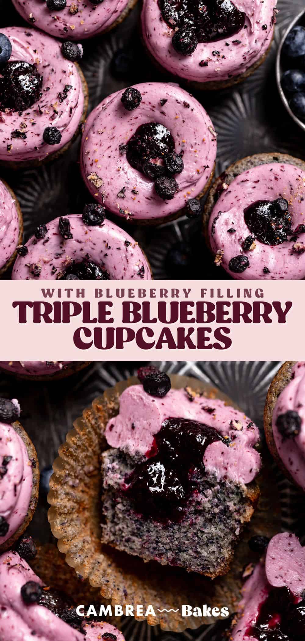 Blueberry Cupcakes with Blueberry Filling - Cambrea Bakes