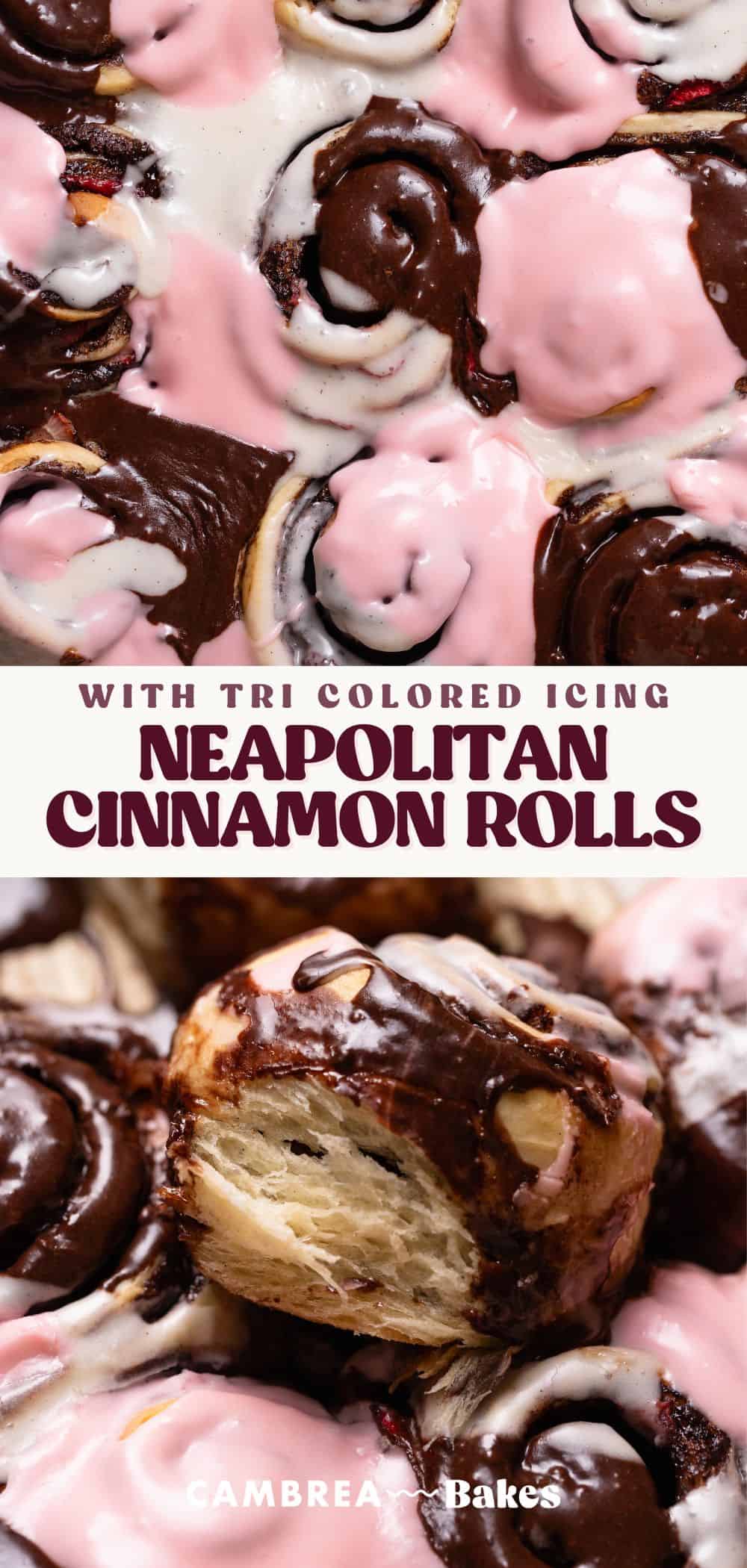 Neapolitan Cinnamon Rolls - Cambrea Bakes