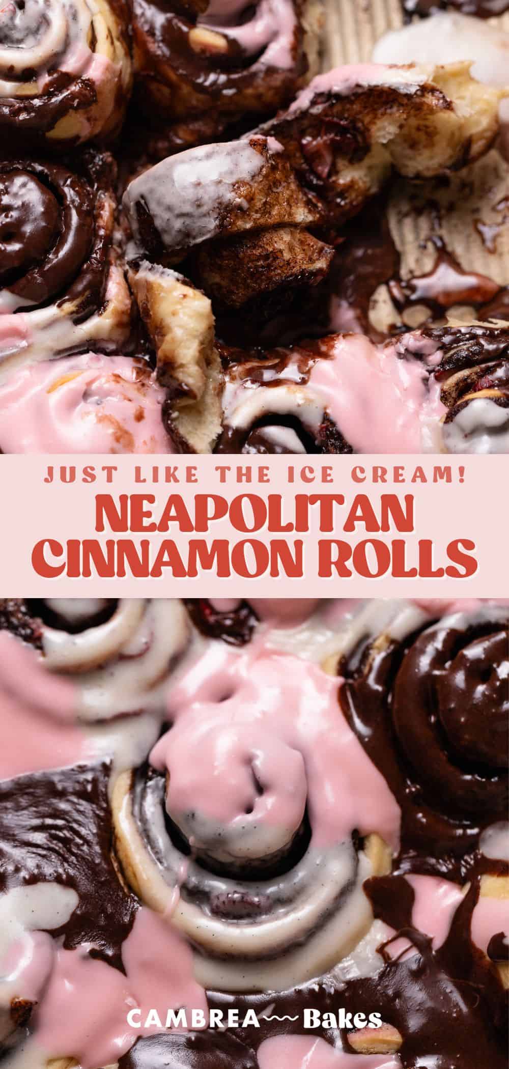 Neapolitan Cinnamon Rolls - Cambrea Bakes