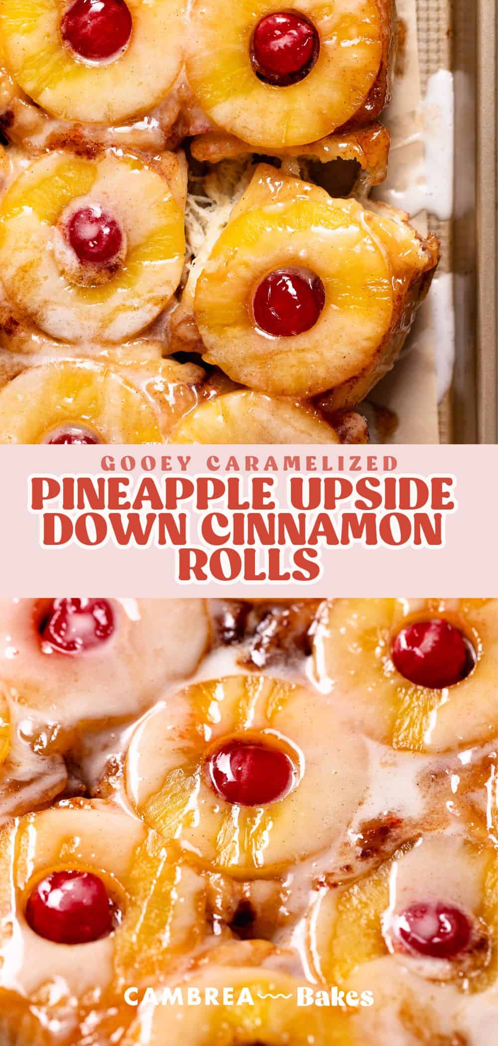 Pineapple Upside Down Cinnamon Rolls - Cambrea Bakes