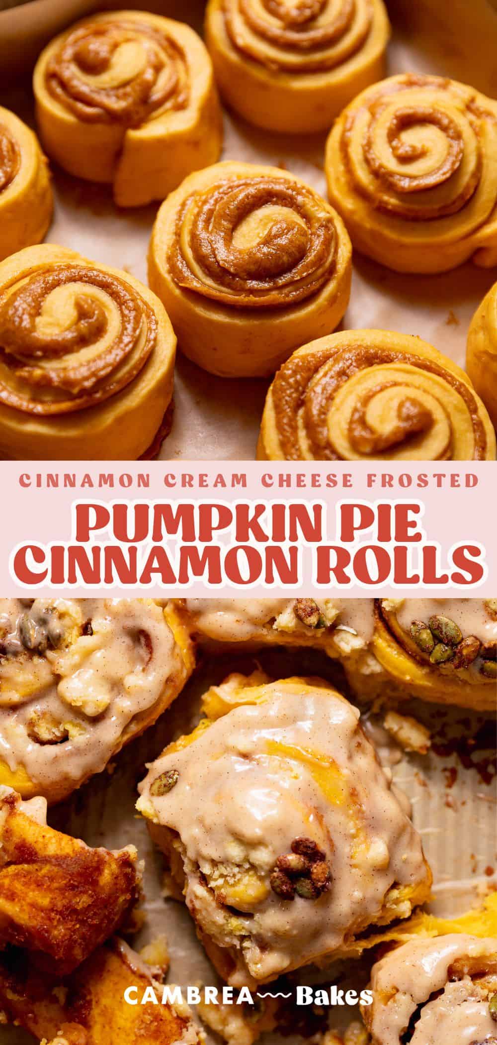Pumpkin Cinnamon Rolls with Cinnamon Cream Cheese Frosting - Cambrea Bakes