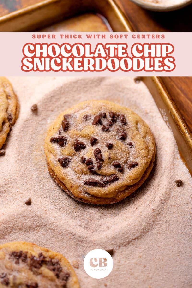 Thick & Gooey Chocolate Chip Snickerdoodle Cookies - Cambrea Bakes