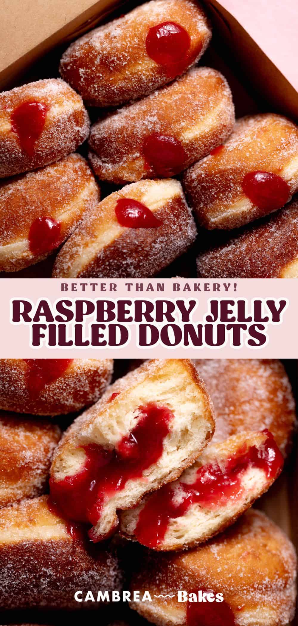Pillowy Soft Jelly-Filled Donuts - Cambrea Bakes