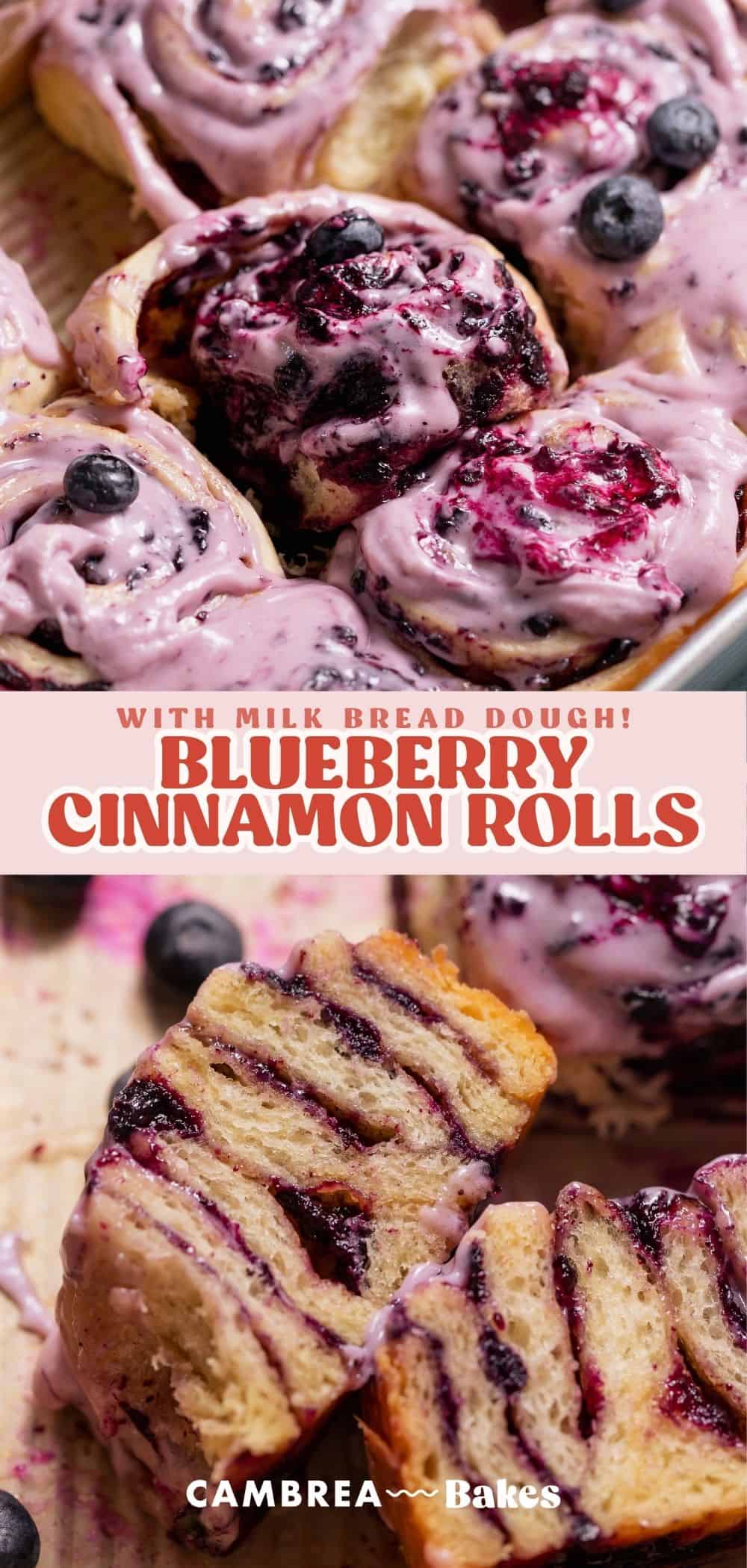Milk Bread Blueberry Cinnamon Rolls - Cambrea Bakes