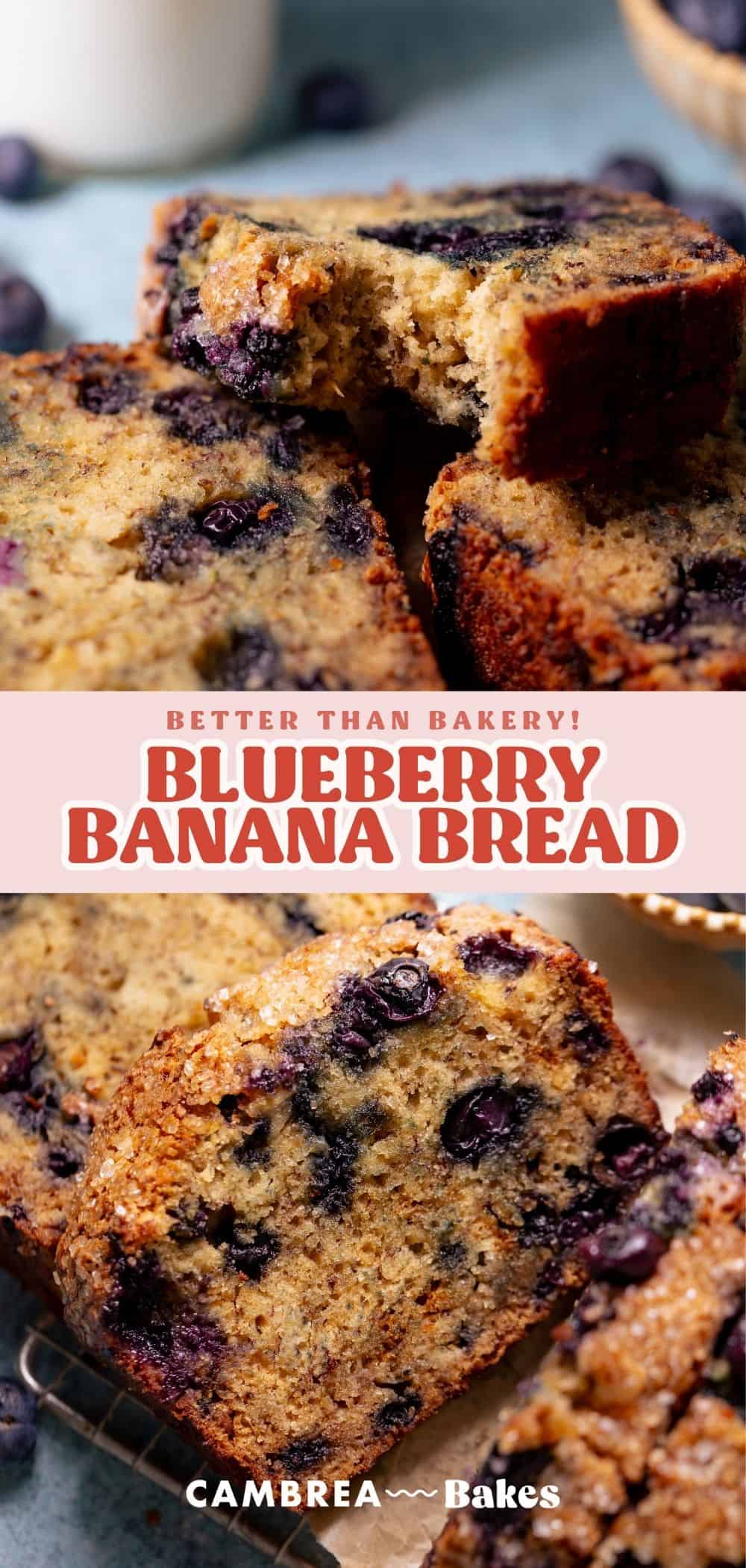 Bakery Style Blueberry Banana Bread with Sugar Crust - Cambrea Bakes
