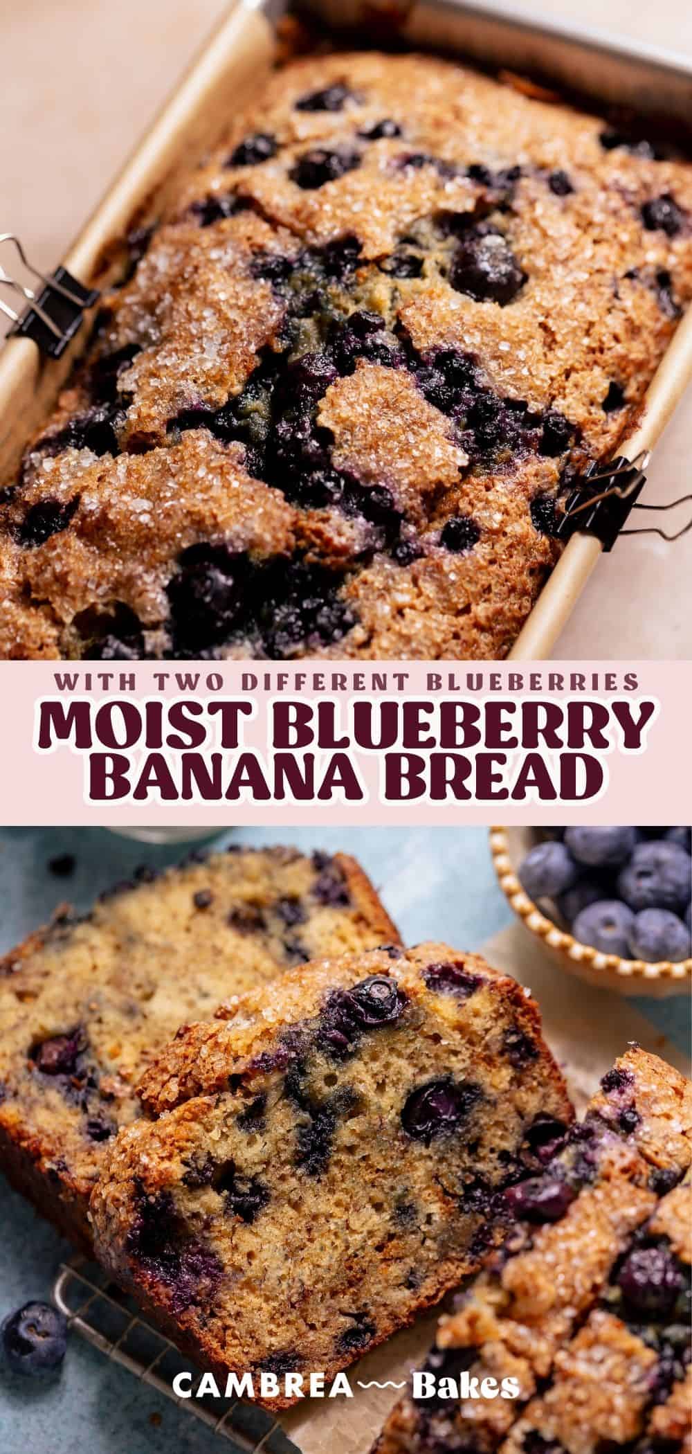 Bakery Style Blueberry Banana Bread with Sugar Crust - Cambrea Bakes